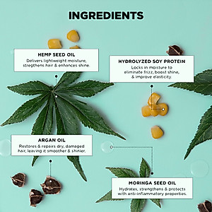 GLOSS.ME Moisturizing Shampoo and Conditioner for Dry Hair by DESIGNME | Hemp & Argan Oil Shampoo with Straight/Curly Hair Conditioner | Hydrating Shampoo & Conditioner for Colored Hair, 10 Fl Oz Each