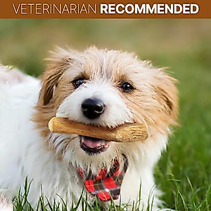 SPOT Coffee Wood Dog Chew Toy – 100% Natural & Sustainably Sourced Non-Splintering Wood from Coffee Plants, Long Lasting, Durable Toy for Aggressive Chewers, for Large Dogs and Puppies Up to 99lbs