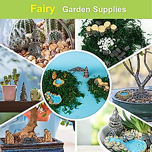 Fairy garden accessories outdoor set, Miniature Fairy Garden Figurines kit-66 pcs fairy garden décor for kids, DIY fairy garden supplies-home office desk décor gifts for Mom, Grandma, Plant Lover