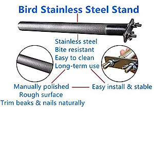 Bird Perch Stainless Steel Stand Parrot Rod Grinding Claws Trimming Beak Nails Grinding Stick Exercise Platform for Parakeet Cockatiel Conure African Grey Macaw Finch Bird Cage Accessories (XL)