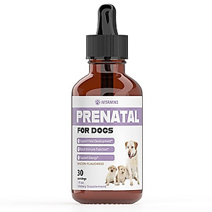 Dog Prenatal Vitamins | Prenatal Vitamins for Dogs | Includes Vitamin B Complex & Vitamin C | Dog Essentials | Whelping Supplies | Prenatal Dog Vitamins | Prenatal for Dogs | 1 Pack: 30 Servings