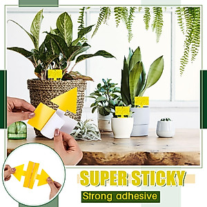 Qualirey 100 Pcs Fruit Fly Traps for Indoors Dual Sided Fungus Gnat Killer Yellow Sticky Bug Fly Trap Indoor for Outdoor Use House Kitchen Plants Mosquitos Whitefly Flying Insects Houseplant