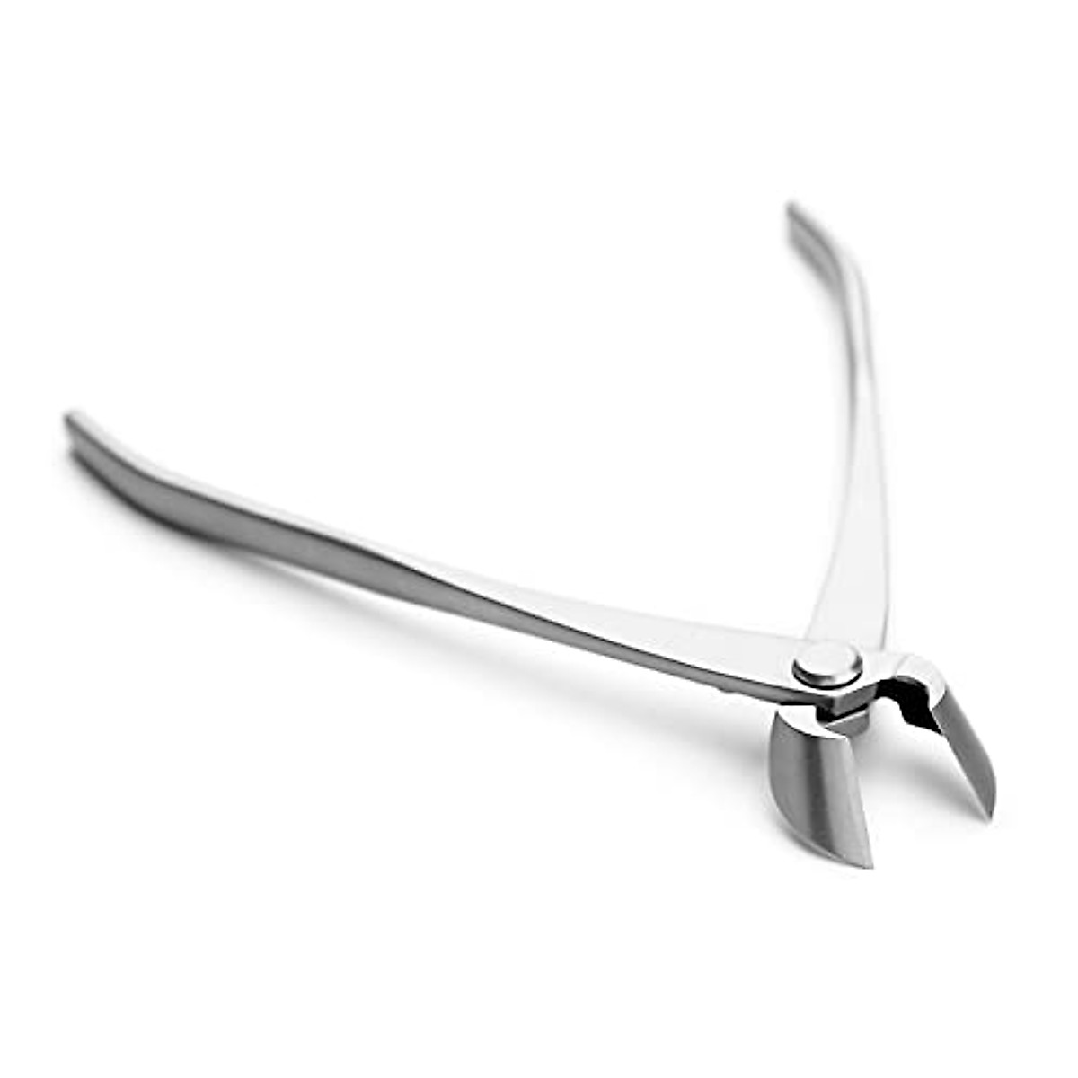 tianbonsai 165 Mm Branch Cutter Straight Edge Bonsai Branches Cutter Bonsai Tools