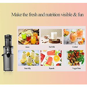 Qvin Compact Slow Masticating Juicer machines 3inch Large Feed Chute, Easy to Clean, BPA Free, 200W Nutritional electrical Cold Press Juicer machine vegetable and fruit,Deluxe Silver-gray