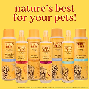 Burt's Bees for Pets Tearless Puppy Shampoo with Buttermilk, 95% Natural Origin Formulas, Shampoo for Puppies - Gentle Dog and Puppy Shampoo Tear Free, Best Puppy Shampoo Tearless, 16 oz