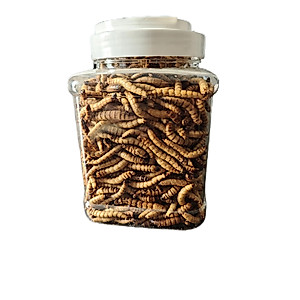 Classic Flock 20oz Dried Superworms - High Protein Reptile & Amphibian Food