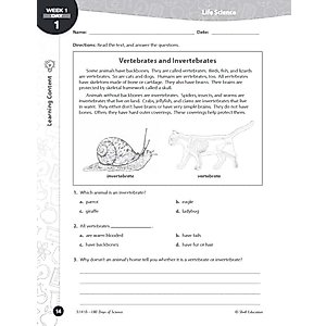 180 Days™: Science, Earth and Space Science for 4th Grade Practice Workbook for Classroom and Home, Cool and Fun Practice Created by Teachers (180 Days of Practice)