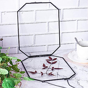 NCYP Wall Hanging Black 8X10 inches Long Octagon Herbarium Brass Glass Frame for Pressed Flowers, Dried Flowers, Poster, Double Glass, Floating Frame Style, Glass Frame Only
