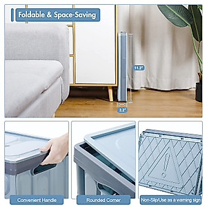 Homde Collapsible Storage Bins Bundle: 2 Gray Storage Boxes and 2 Blue Storage Boxes (Large)