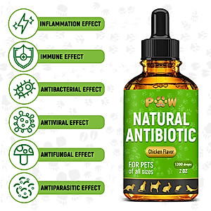 Cat Antibiotic | Natural Antibiotics for Dogs | Antibiotic for Cats | Dog Antibiotic | Natural Antibiotics for Cats | Chicken Flavor | 2 oz