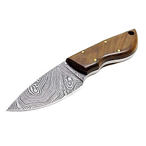 BucknBear Custom Handmade Fixed Blade Damascus Mini Skinner Knife (Walnut Wood handle)