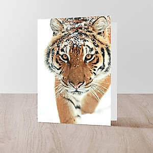 CafePress Snow Tiger Greeting Cards Folded Greeting Card Glossy