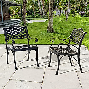 Nuu Garden Patio Dining Chairs Set of 2, Aluminum Outdoor Indoor Patio Chairs with Arms for Garden, Backyard, Porch, Black with Gold Points