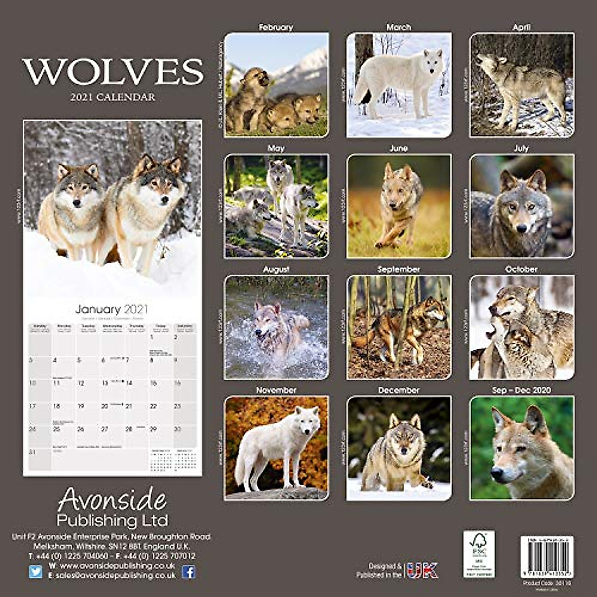 Wolf Calendar - Wolves Calendar - Calendars 2020 - 2021 Wall Calendars - Animal Calendar - Wolves 16 Month Wall Calendar by Avonside