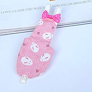 balacoo Pet Clothes Clothing Clothes Bird Diaper Flight Suit Nappy Pet Pee Pad Suitable for Parrot African Grey Budgie Parakeet Cockatoos (Size L, Random Style) Parakeet Bird Cage Parakeet Bird Cage