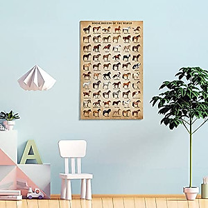 Horse Knowledge Horse Breeds of The World Poster Framed 12x16inch