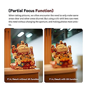 TTartisan 50mm F1.4 Tilt Lens, Compatible with Full-Frame Sony E-Mount Mirrorless Cameras Alpha a7 a7II a7III a7R a7RII a7RIII a7RIV a7S a7SII a9 a7C