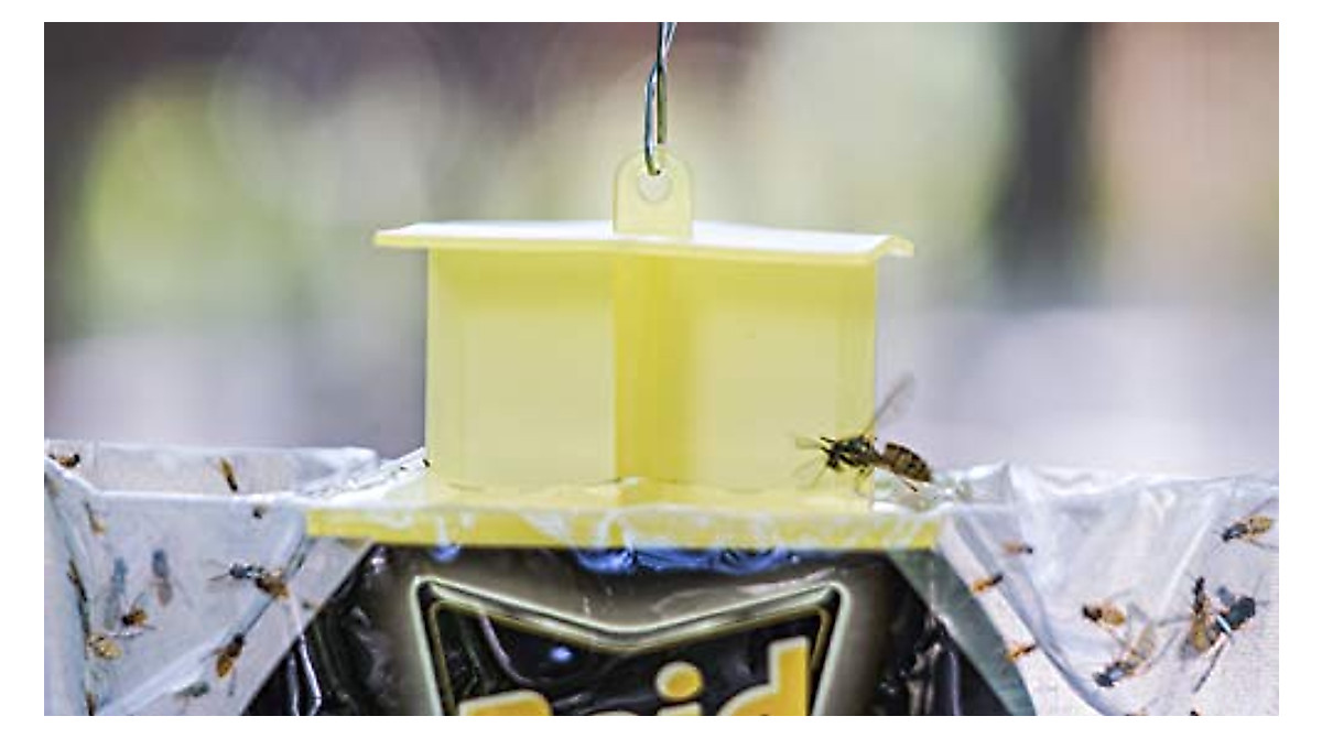 Effective Raid Wasp Trap (3-Pack) for Your Outdoor Needs