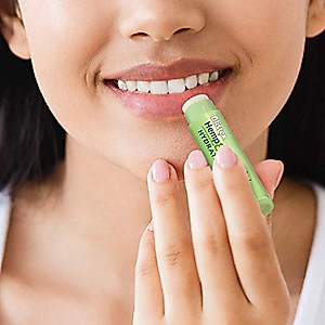 Blistex Hemp & Shea Hydration, 2 count