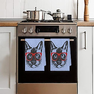 Cat Face Glasses Kitchen Towels and Dishcloths Set of 4-17.7" x 28.3" Absorbent Dish Towels with Hanging Loop Hand Towel for Farmhouse Bar Towels & Tea Towels
