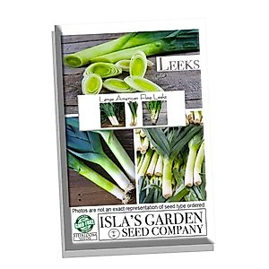 Large American Flag Leek Seeds for Planting, 500+ Heirloom Seeds Per Packet, (Isla's Garden Seeds), Non GMO Seeds, Botanical Name: Allium ampeloprasum, Great Home Garden Gift