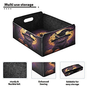 YETTASBIN Halloween Cat Felt Storage Baskets with Handle, Collapsible Open Storage Bin Drawers Storage Box for Shelf Closet Office Bedroom Nursery Home, 14 x 5 x 10 Inch