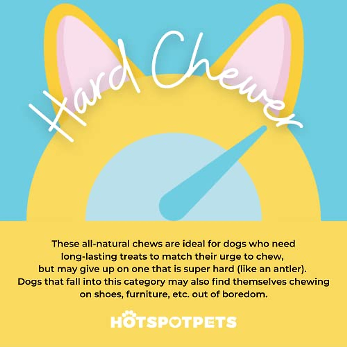 hotspot pets 5 Pack - 8-9 Inch Large Rawhide Dog Chew Bones - Made from Grass Fed Brazilian - Great for Dental & Oral Care for Aggressive Chewers Large Dogs (5 Pack)