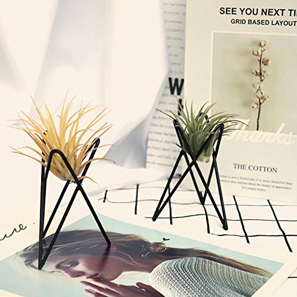 Pack of 4 Air Plant Holder Tillandsia Base, Modern Geometric Metal Air Plant Stand Airplant Display Rack, Tabletop Big Streptophylla Plant Display Table Hand for Home Office Decoration Supplies