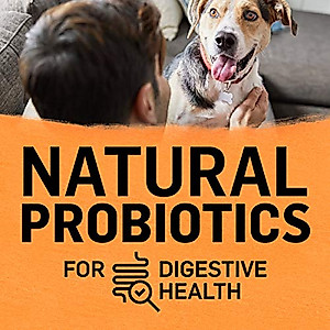 Purina Beyond Grain Free, Natural Dry Dog Food, Grain Free White Meat Chicken & Egg Recipe - 3 lb. Bag