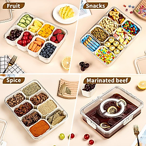 Plastic Divided Serving Tray with Lid and Handle Snack Box Charcuterie Container Portable Snack Platters Organizer for Candy, Fruits, Snacks, Nuts, for Party, Entertaining, Picnic (8 compartments)