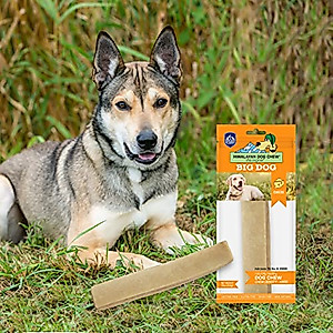Himalayan Dog Chew for Big Dogs - Long Lasting, Stain Free, Protein Rich, Low Odor - 100% Natural, Healthy & Safe - No Lactose, Gluten Or Grains - XX Large - for Dogs 75 Lbs & Larger