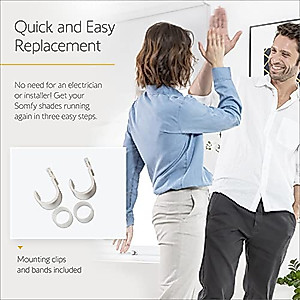 somfy 12V DC Reloadable Battery Tube - 12V Battery Wand for RTS Motors - Easy to Install - Power Blinds & Shades - Replacement Battery Tube – Wall Mount Clips Included #9018685