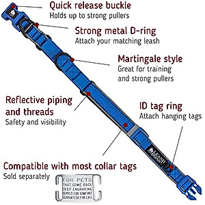 Leashboss Reflective Martingale Collar and 6 Ft Leash with Padded Handle, Medium Collar 14.5-17" Neck, Blue