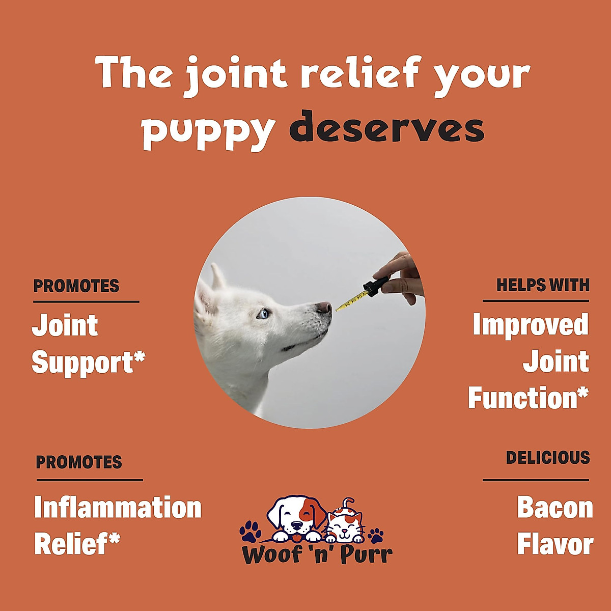 Dog Glucosamine - Supports Hip & Joint Health, & Much More - Glucosamine for Dogs Hip and Joint Supplement - Glucosamine for Dogs - Dog Joint Supplement - Glucosamine Chondroitin for Dogs - 1 fl oz