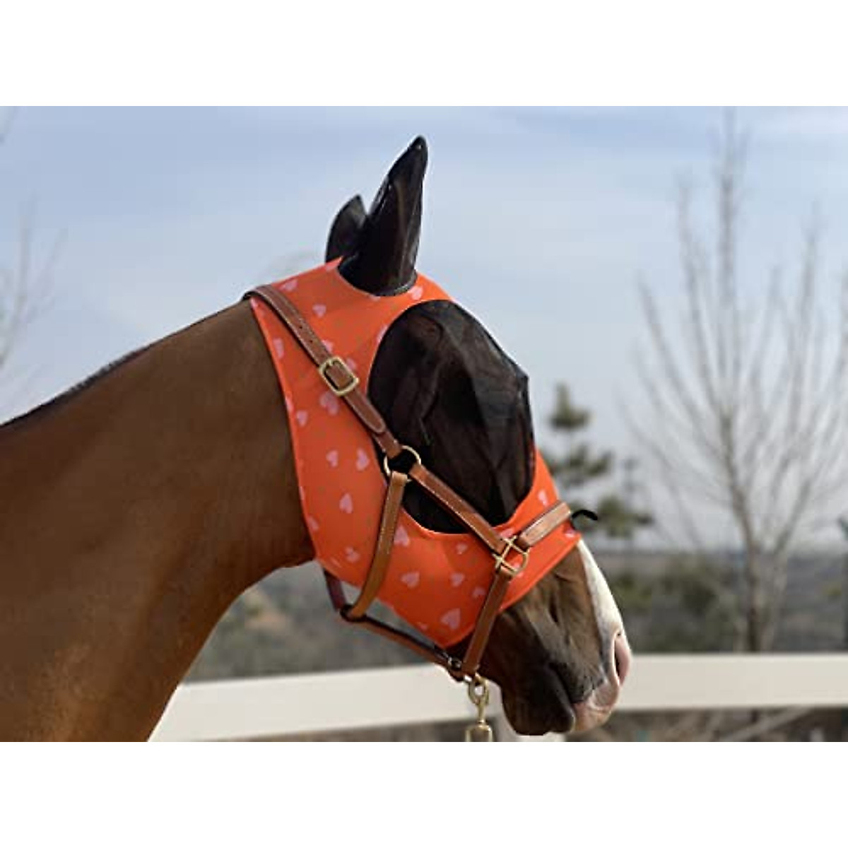 TGW RIDING Horse Fly Mask Super Comfort Horse Fly Mask Elasticity Fly Mask with Ears We Only Make Products That Horses Like (M, Dark Orange)……
