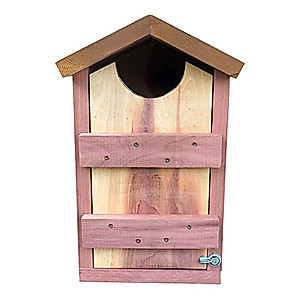 Vundahboah Amish Goods Screech Owl House Box for Nesting- Handmade in USA- Solid Cedar Wood Saw-Whet/Kestrel/Screech Owl/Flicker- Cedar Shavings Included
