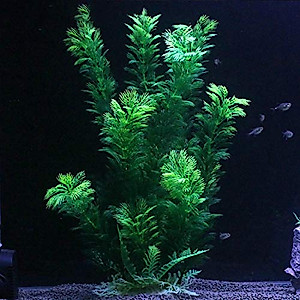 Hamiledyi Aquarium Plants Plastic Decor Fish Tank Green Decorations Plants Ornament Safe for All Fish,Extra Large 23-inch Tall, 2 Pack   