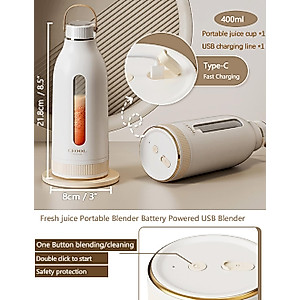 Walktosun Personal Blender for Smoothies,4-Blade Portable Blender Rechargeable with USB Charging Mini Juice Blender, 14oz Personal Blender for Sports Moves/Travel/Home/Gym