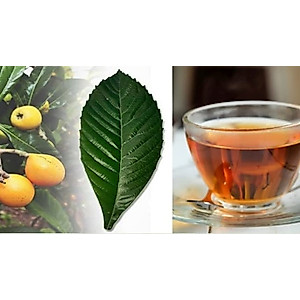 Yerbero - Te Herbal Hojas De Nispero 2oz (58gr) Herbal Tea (Loquat Leaves Tea) Stand Up Resealable Bag Crafted By Nature100% All Natural Fresh Tea Tea | Non-GMO |Gluten-free.