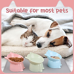 3 Pcs Elevated Cat Bowls 15°Cat Elevated Food Bowl with Silicone Mat Cat Bowls Elevated Whisker Friendly Anti Vomiting Cat Elevated Food and Water Bowls for Indoor Cats and Kittens