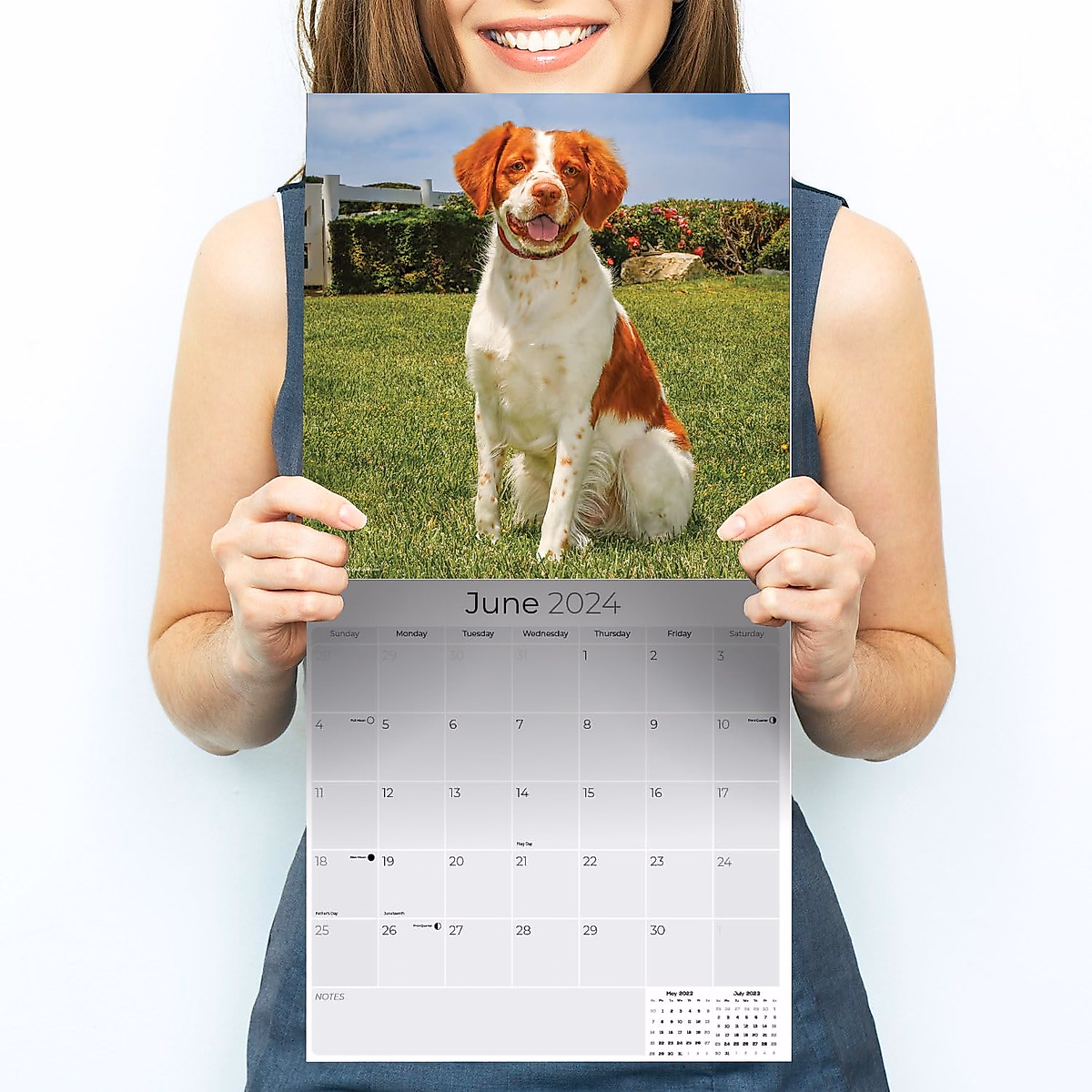 2023 2024 Brittany Spaniel Calendar - Dog Breed Monthly Wall Calendar - 12 x 24 Open - Thick No-Bleed Paper - Giftable - Academic Teacher's Planner Calendar Organizing & Planning - Made in USA