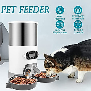 Automatic Cat Feeder, 4.5L Cat Food Dispenser, Timed Small Pet Feeder with 2-Way Splitter & 10s Voice Recorder, Auto Cat Feeder for Cat & Small Dog