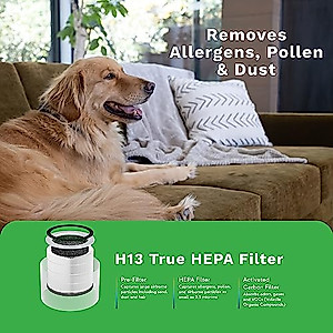 DH Lifelabs | Sciaire + HEPA Air Purifier | Ions Actively Clean & Deodorize Air | Eliminates 99.97% of Bacteria & Viruses | H13 HEPA Purifier Filter for Allergies Pets | Large Room Home | White