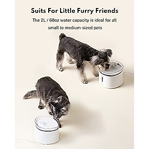 Homerunpet Cat Water Fountain with Wireless Pump, 68oz/2L Ultra Quiet Pet Water Fountain for Cats and Dogs, Easy to Clean and Assemble, Filters Included, Dual Working Mode, Smart LED Light