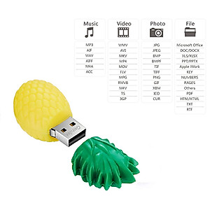GARRULAX USB Flash Drive, 8GB / 16GB / 32GB Novelty Cute Cartoon USB Memory Stick Date Storage Pendrive Thumb Drives for Kids Children Collegue Student (32GB, Pineapple)
