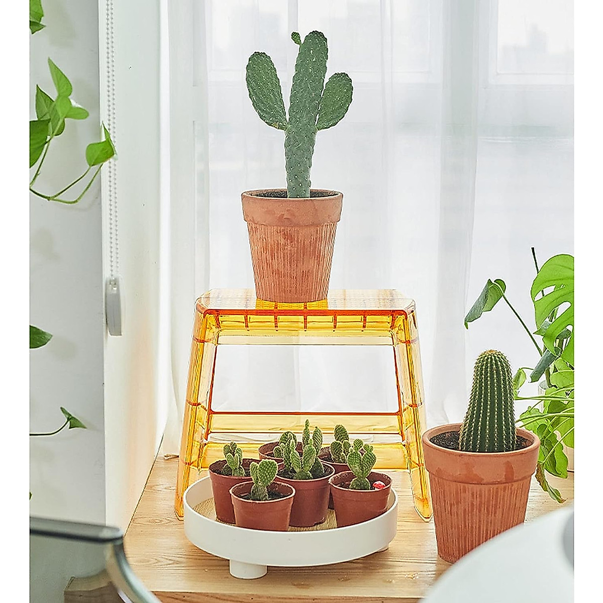 HM&DX Acrylic Folding Protable Step Ladder,Step Stools for Adults,1 Steps Adults,Small Foldable Chaie,Transparent Stool for Indoor Outdoor Library Kitchen(39.2 * 39 * 29.4cm, Transparent)