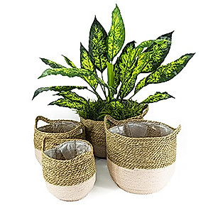 NOOR Living Design Products 38194 Basket Set 4-Piece Seagrass Natural Pink M