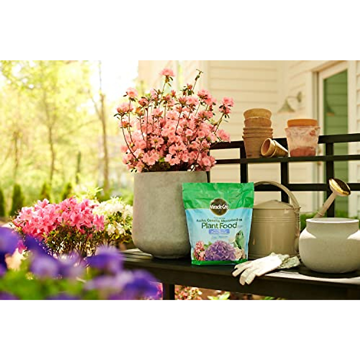 Miracle-Gro Water Soluble Azalea, Camellia, Rhododendron Plant Food - Fertilizer for Acid-Loving Plants & Flowers, 5 lb.