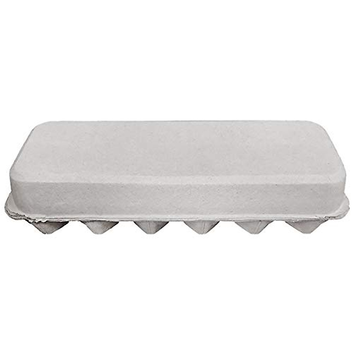 Blank 12-Egg Flat Top Paper Pulp Carton - Bulk Egg Cartons (50)