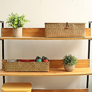 FEILANDUO Seagrass Storage Basket with Lid Hand Woven Wicker Shelf Baskets Rectangular Small Storage Box for Desktop Organizing (Natural 3 Sections with Lid)